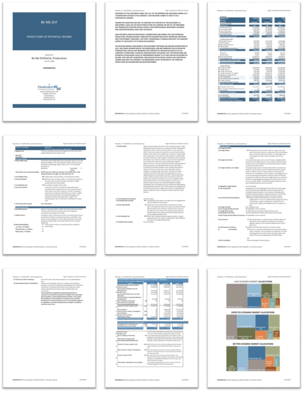 Filmmaker’s Financials Package